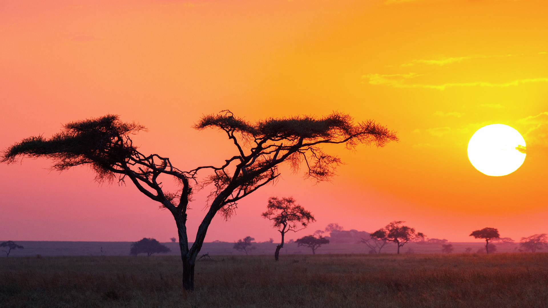 7 Nights African Horizons Adventure | Jionee Africa